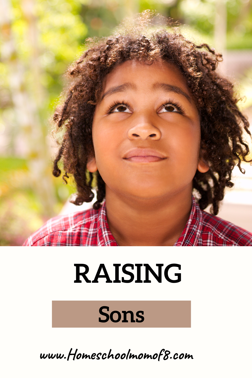Raising Sons - HomeSchool Mom of 8