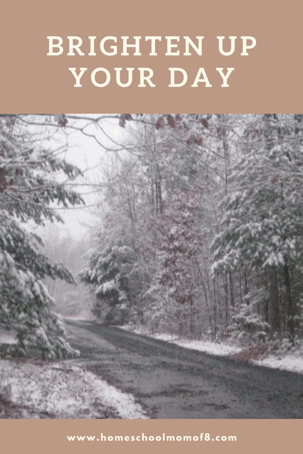 Brighten up your day in 4 meaningful ways - HomeSchool Mom of 8