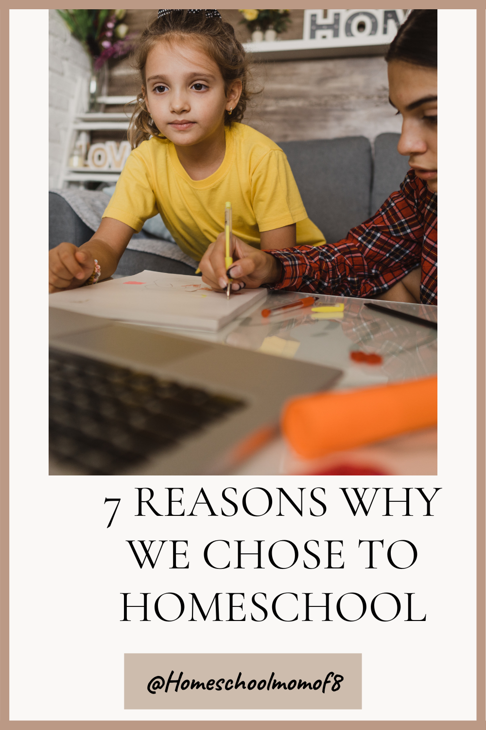 7 Reasons Why We Chose to Homeschool - HomeSchool Mom of 8