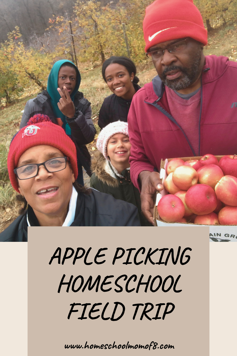Apple picking | Homeschool Field Trip - HomeSchool Mom of 8